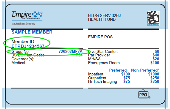 Adding Your Insurance Details to the Alma Portal – Alma